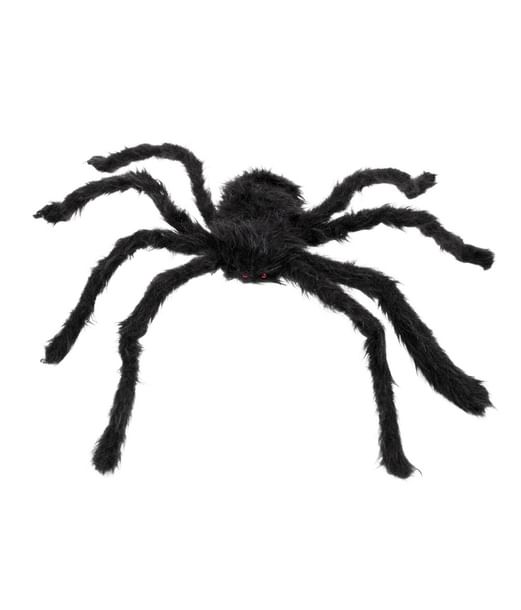 Behåret edderkop - Fest & Farver