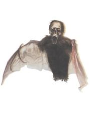 Edderkop, 90 cm - Levering fra kun 39 kr. - Fest & Farver