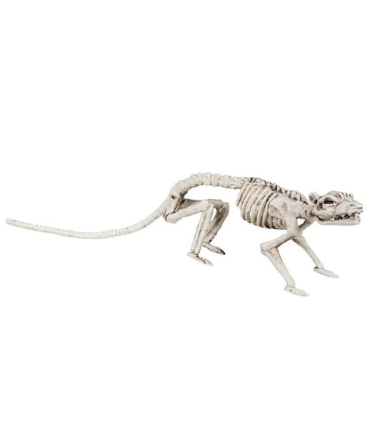 Køb 35 cm langt rotte skelet i plastik til halloween her - Fest & Farver