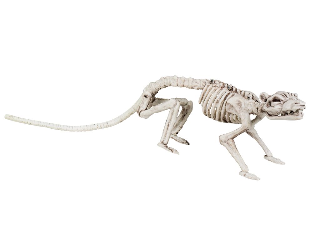 Dyreskelet - Køb seje dyreskeletter til halloween - Lave priser - Fest ...