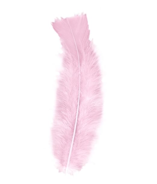 Find 50 stk flotte lyserøde fjer til dekoration her. Porto fra kun 45 ...