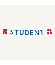Studenter pynt - Alt i studenterpynt til studentergilde - Rød og blå ...
